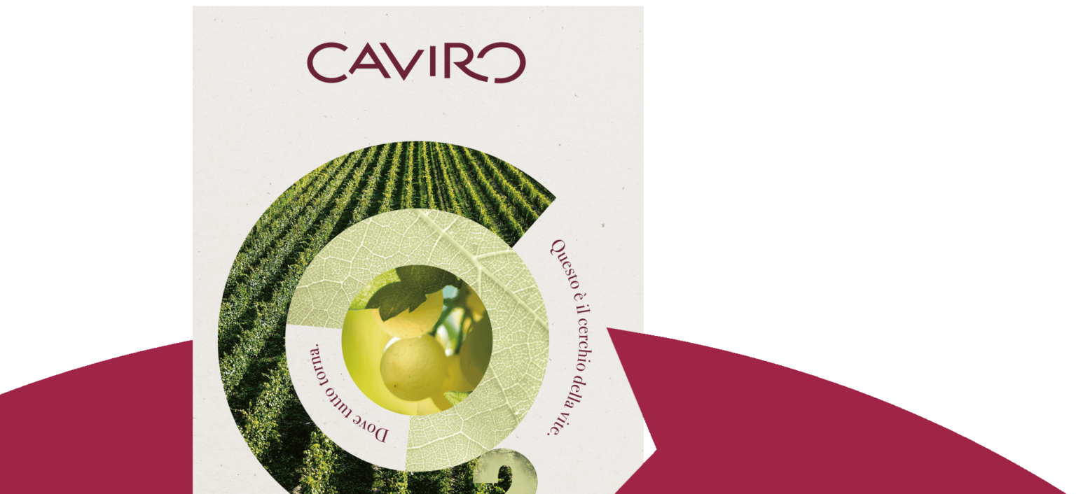 Caviro Extra: products of the winemaking and agri-food industries