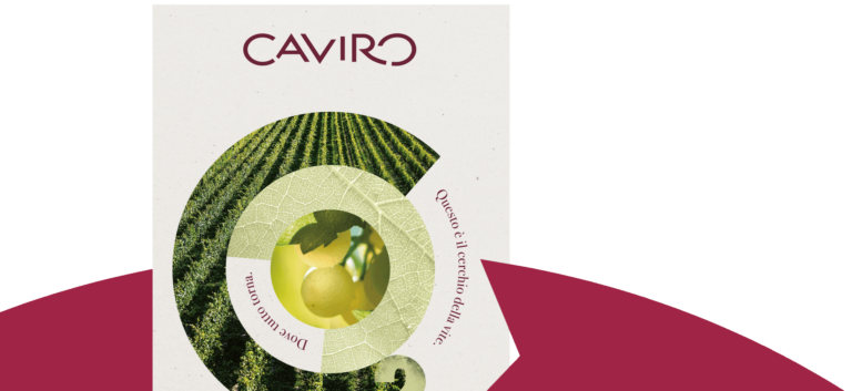 Caviro Extra: products of the winemaking and agri-food industries
