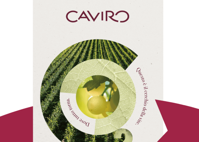 Caviro Extra: products of the winemaking and agri-food industries